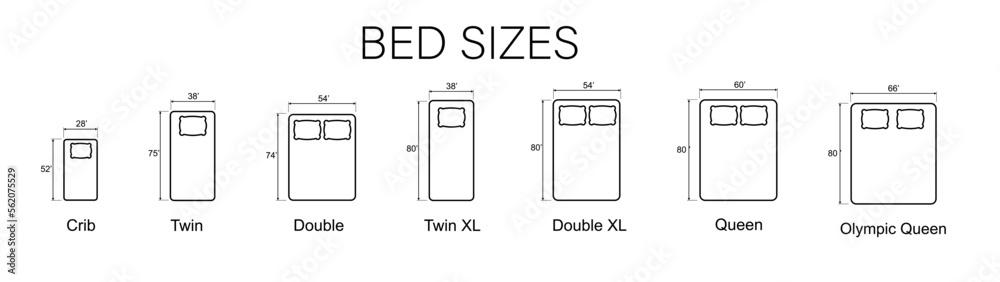 Bed Sizes and Mattress Dimensions . Pictograms depict icons of bed ...