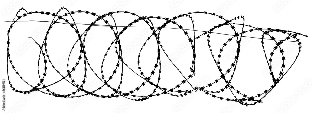 Coils of razor wire as used in detainment camps and prisons and borders ...