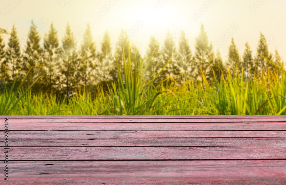 wooden table on natural grass meadow background inside trees forest for ...