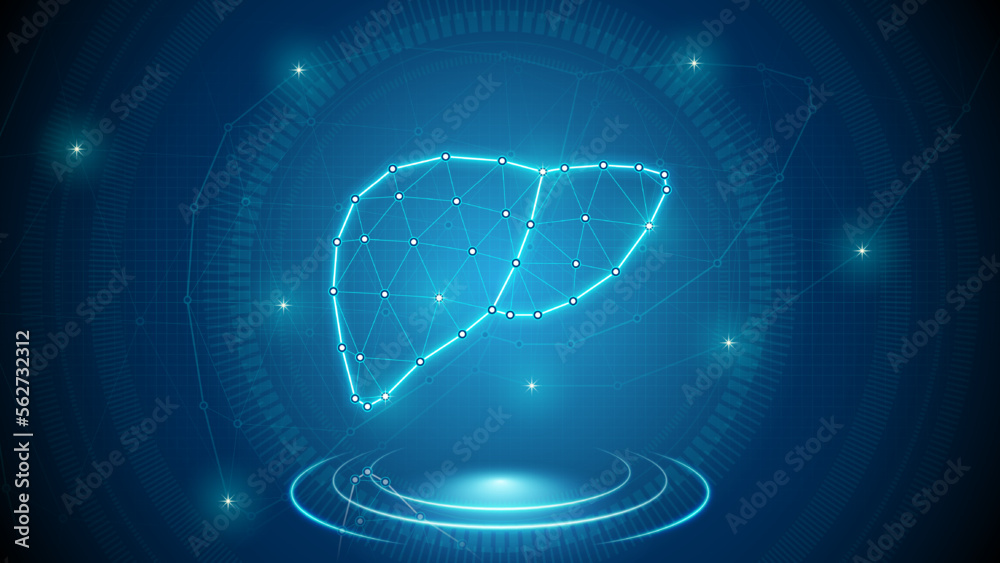 Human Organ Liver Digestive, Hepatic System Medical Cybernetic Part ...