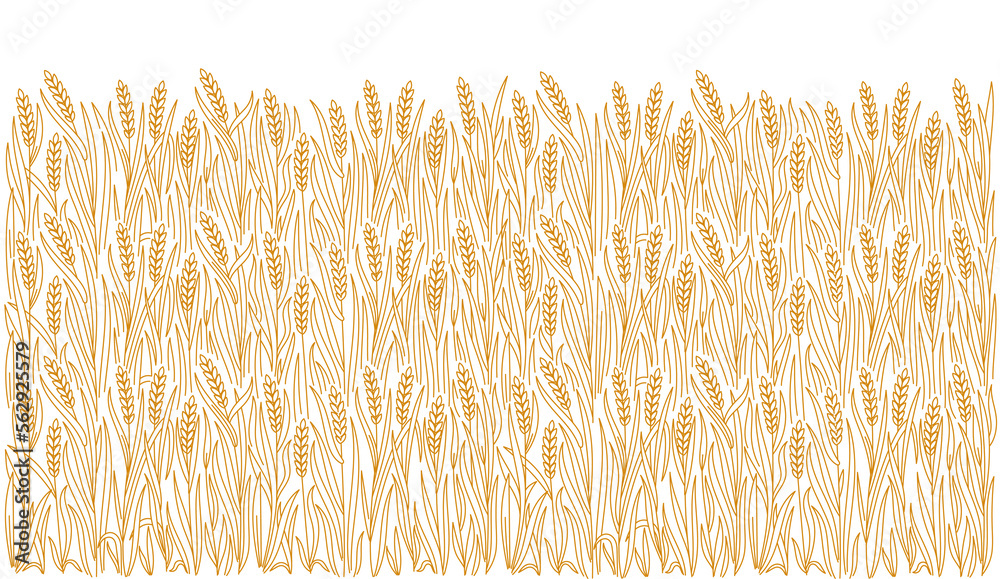 Bakery wrapping paper. Cereal background. Grains and ears of wheat, rye ...