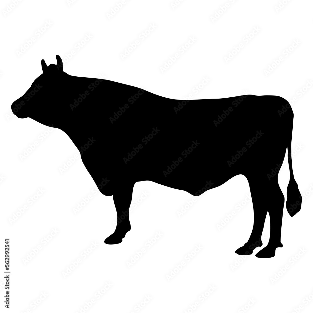 Animales de granja. Silueta de toro de raza guernsey Stock-illustration ...