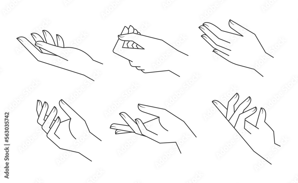 Aesthetic hands vector linear illustrations. Stylized elegant hand ...