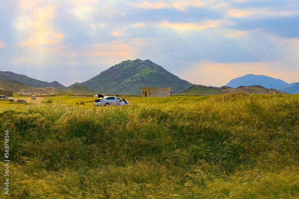 Mecca , Saudi Arabia , 13 Jan 2023: Makkah Spring after raining season ...