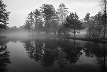 Country Pond And Fog Free Stock Photo - Public Domain Pictures