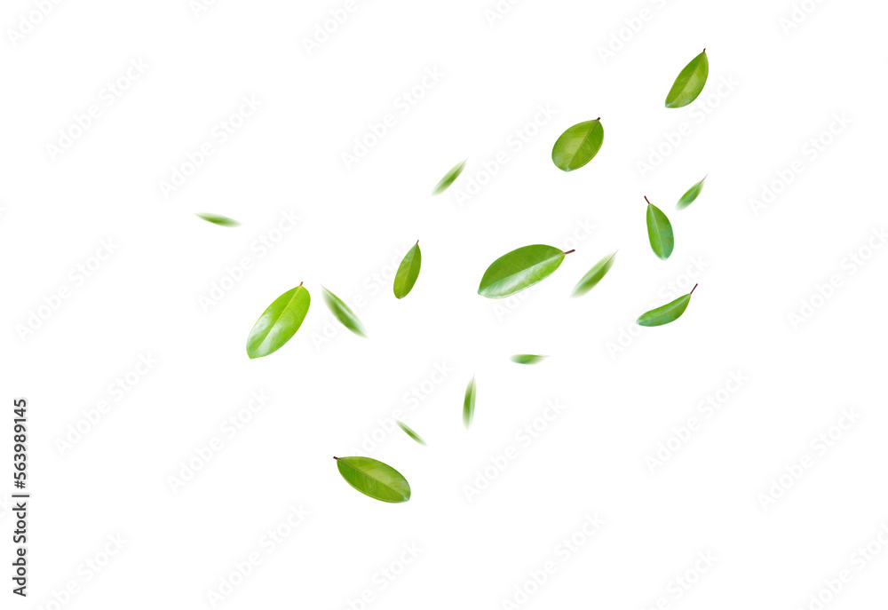 Green Floating Leaves Flying Leaves Green Leaf Dancing, Air Purifier ...