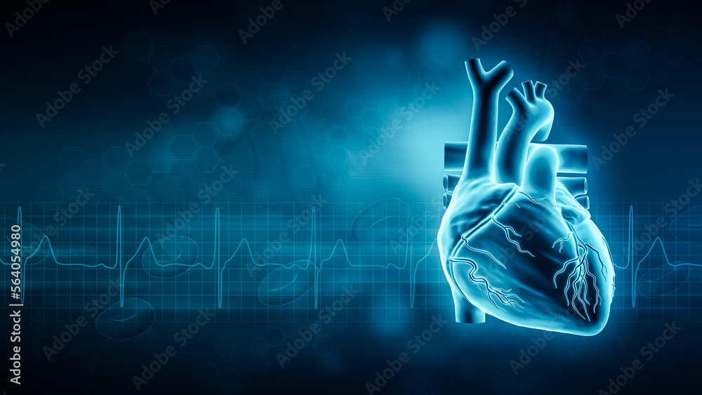 Human heart and EKG waveform 3D rendering illustration with copy space ...