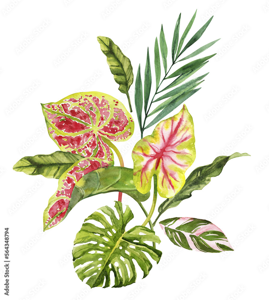 Watercolor hand drawn rainforest tropical leaves bouquet composition ...