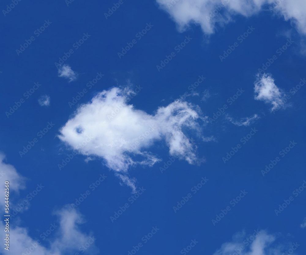 Fish shaped cloud in a blue cloudy sky Stock Photo | Adobe Stock