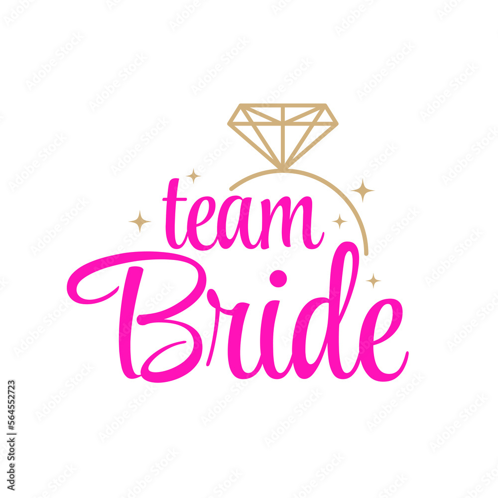Team bride wedding decoration icon sign banner design vector Stock ...