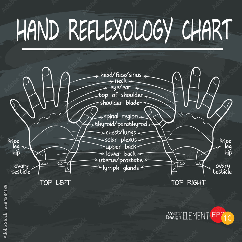Hand reflexology chart with accurate description of the corresponding ...