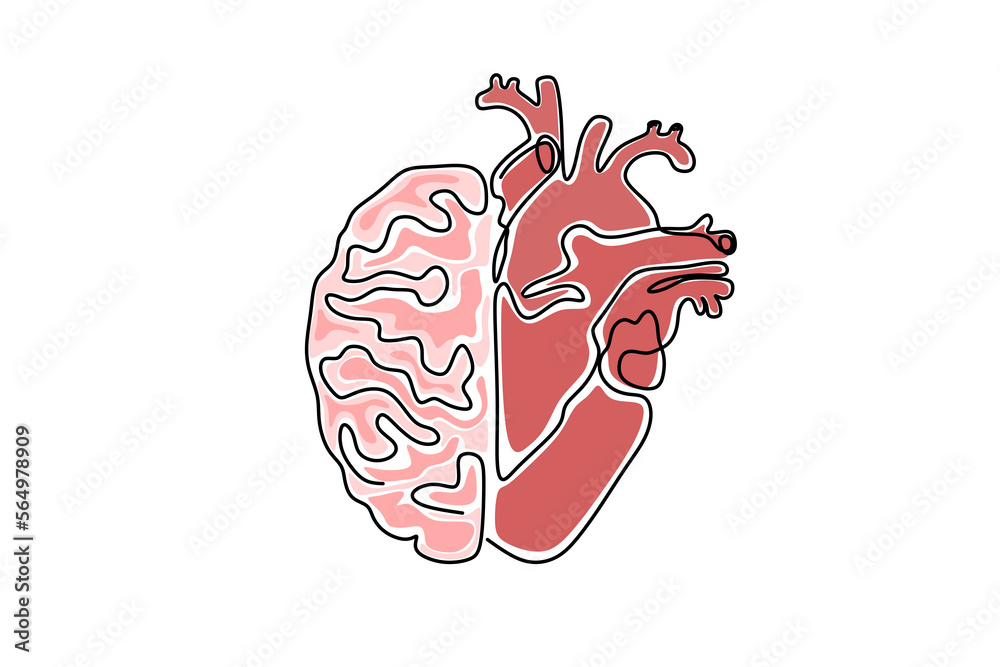 one line human heart and brain anatomy Stock Illustration | Adobe Stock