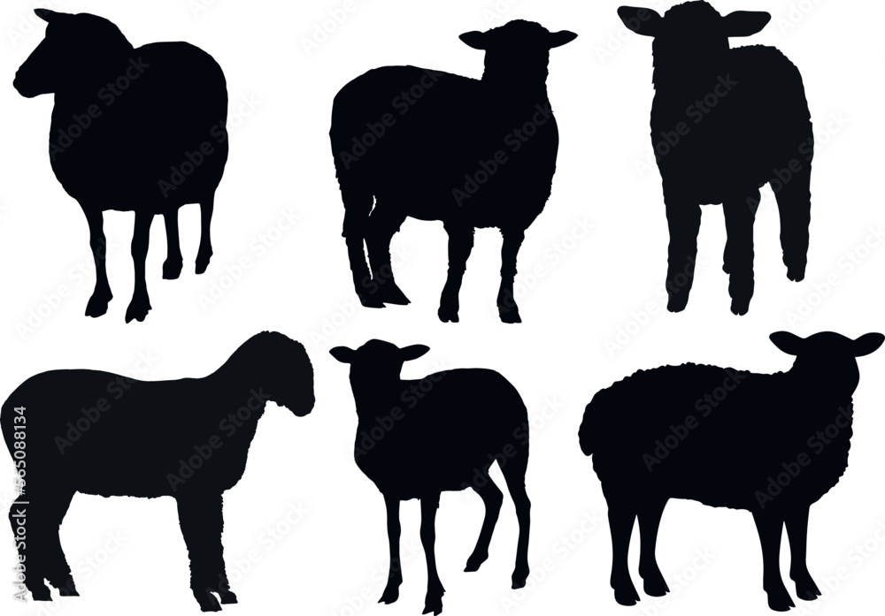 Sheep silhouette set icon, EPS Vector Stock Vector | Adobe Stock