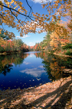 Fall Foliage Reflection Free Stock Photo - Public Domain Pictures