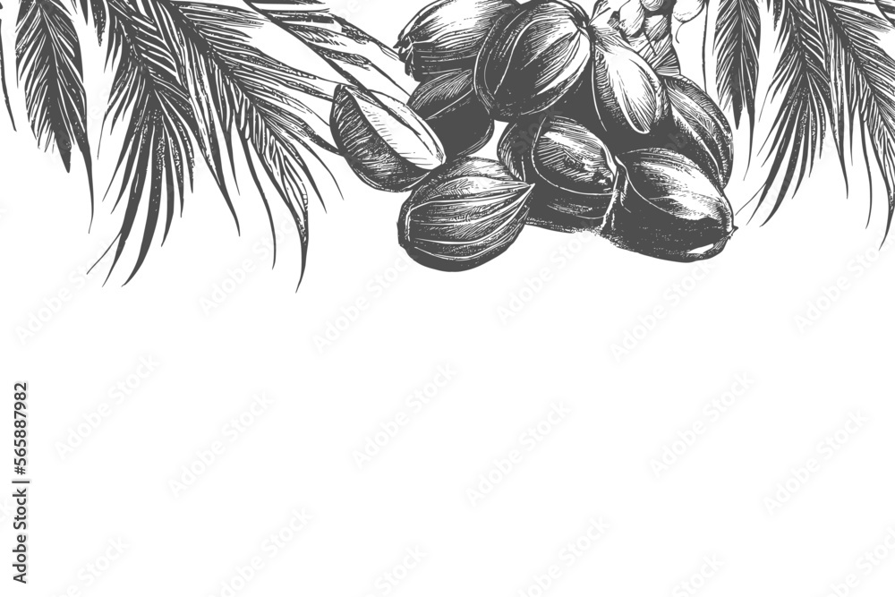 Border design with date palm leaves and ripe fruits sketch vector ...