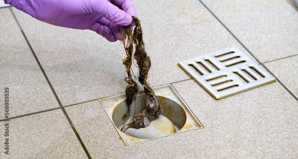 Water drain hole is clogged with hair clump. Woman hand in gloves is ...