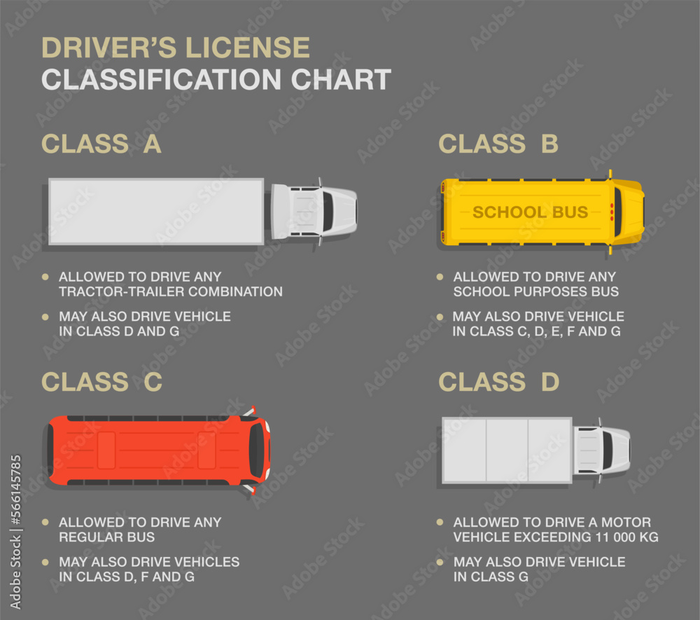 Car driving tips and rules. Types of driving licences and descriptions ...