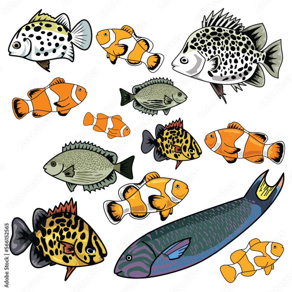 set of fish collection vector illustration Stock Vector | Adobe Stock