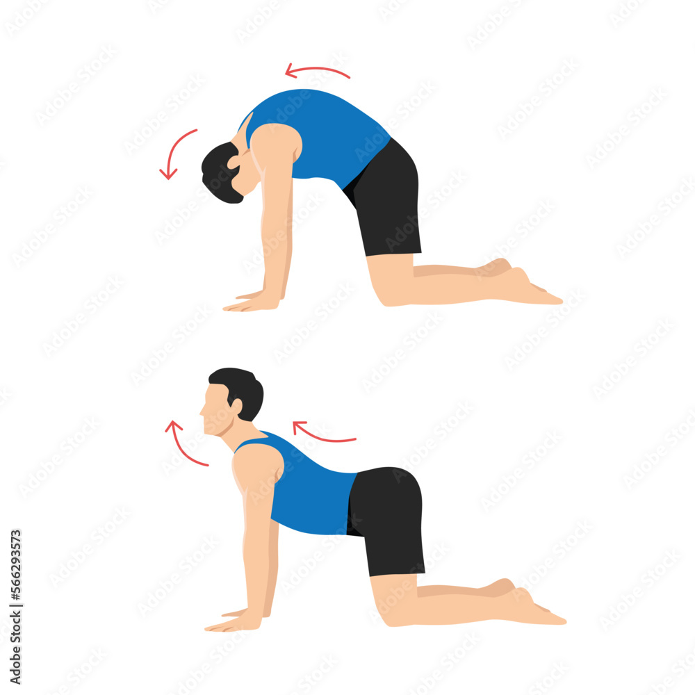Man doing Yoga. cat cow pose stretch exercise. Flat vector illustration ...