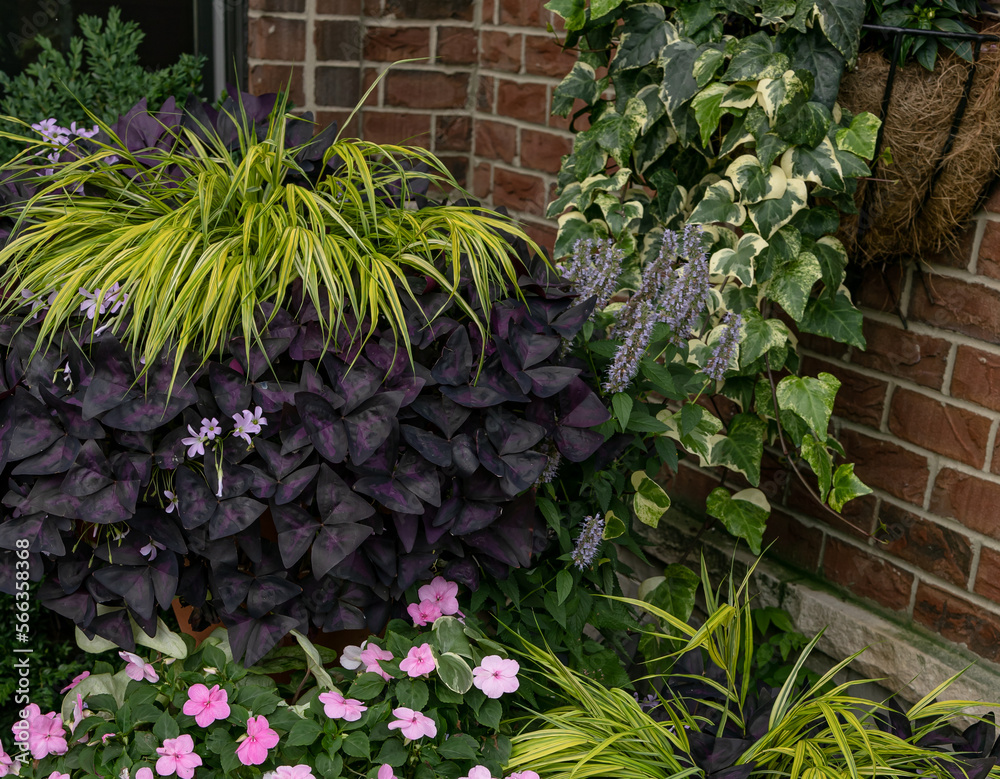 Beautiful Planter Combinations for Stunning Container Garden ...