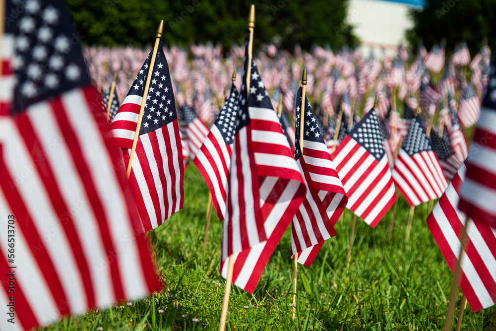 Hundreds of American flags planted on the lawn in America Stock Photo ...