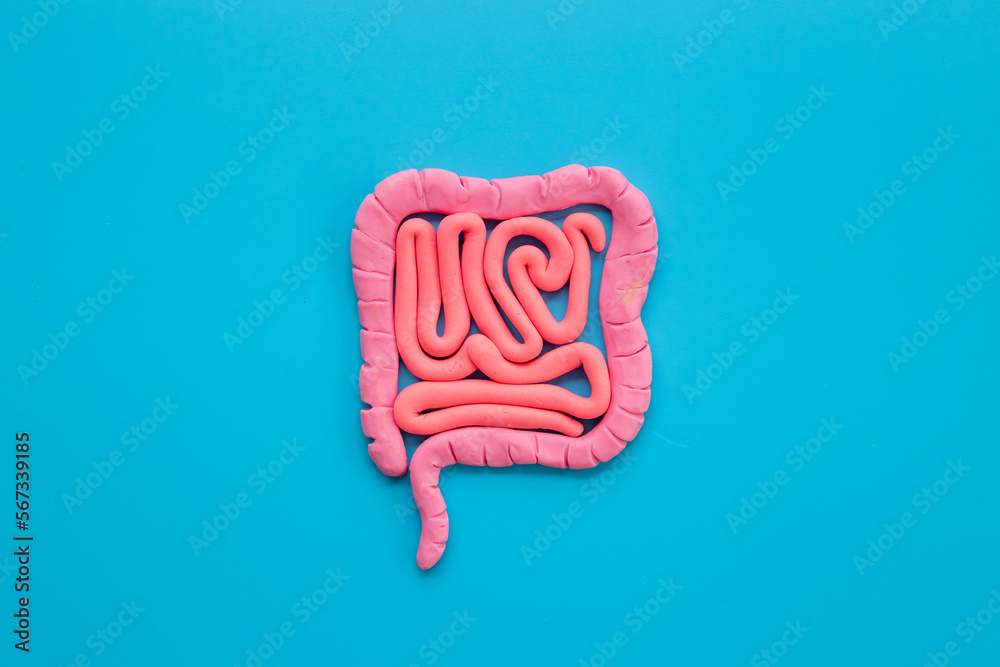 Stomach or intestines colon organ problems. Bowel disease concept ...