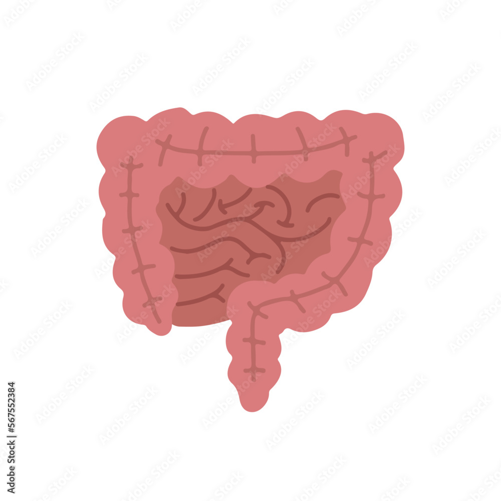 Human Internal organs, cartoon anatomy body part intestinal system ...