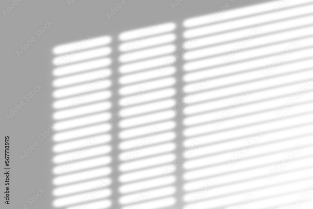 window shadow Tropical plant overlay element for portrait easy to use ...