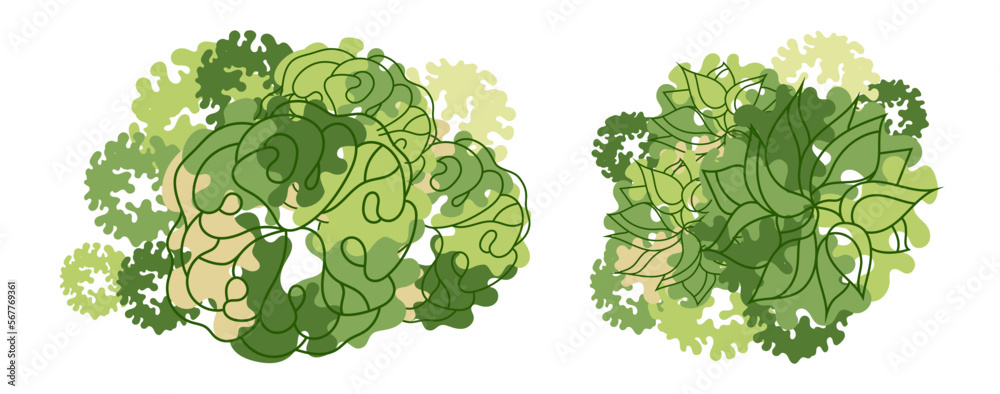 Tree for architectural floor plans. Entourage design. Various trees ...