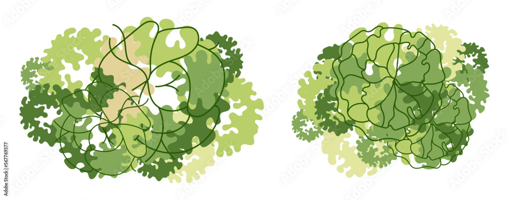 Tree for architectural floor plans. Entourage design. Various trees ...