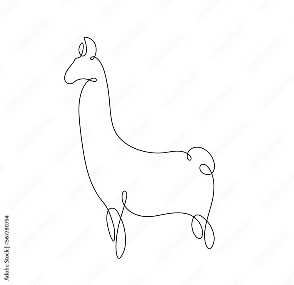Vector isolated one single contemporary line lama alpaca standing side ...
