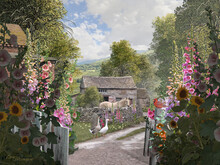 Cardinal Birds, Daisy Flowers Free Stock Photo - Public Domain Pictures