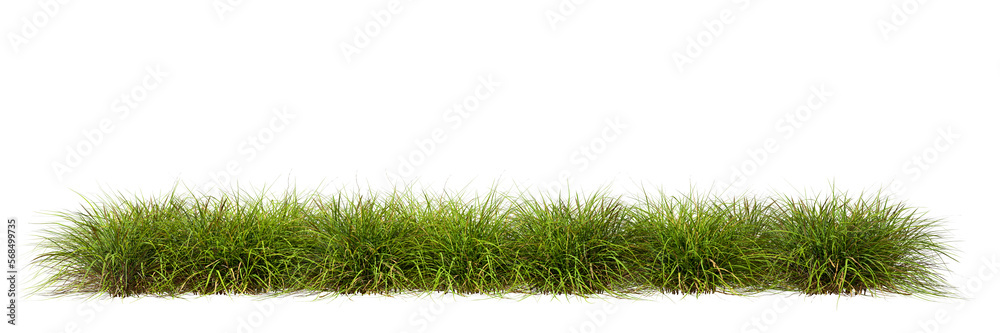 Meadow grass row prairie cutout transparent background 3d rendering png ...