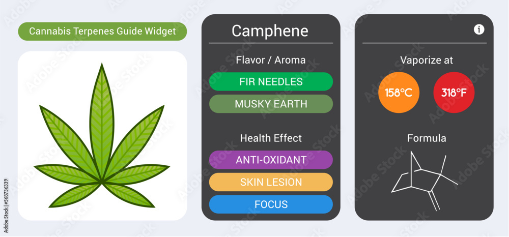 Cannabis Terpene Guide Information Chart. Aroma and Flavor with Health ...