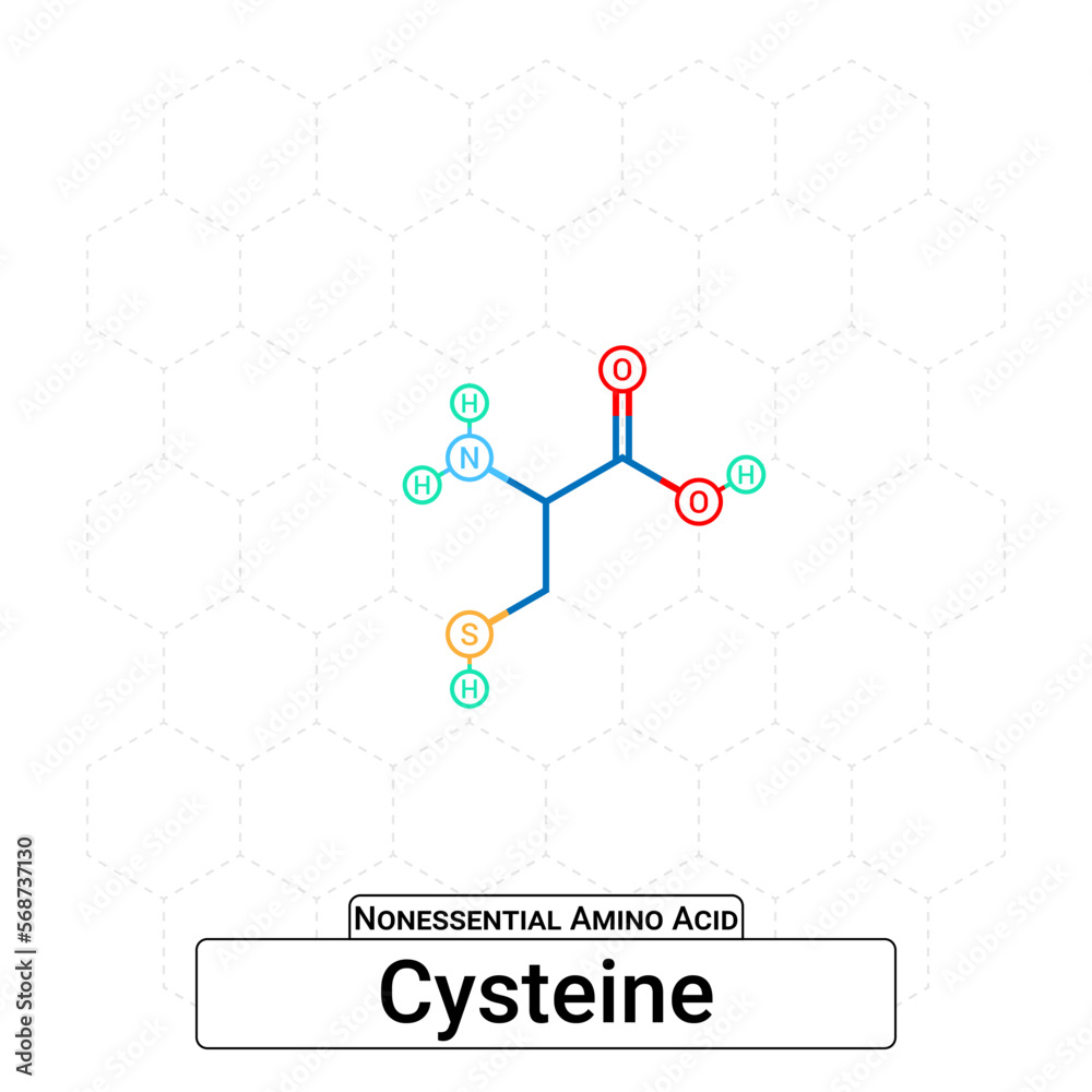 Cysteine Chemical Structure Non-Essential Amino Acid Organic Molecules ...