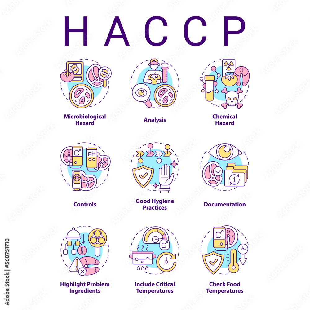HACC concept icons set. Risk prevention. Hazard analysis critical ...