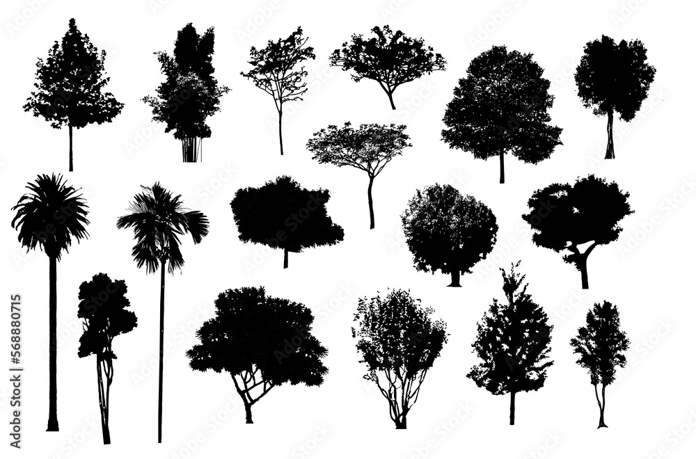Minimal style cad tree line drawing, Side view, set of graphics trees ...