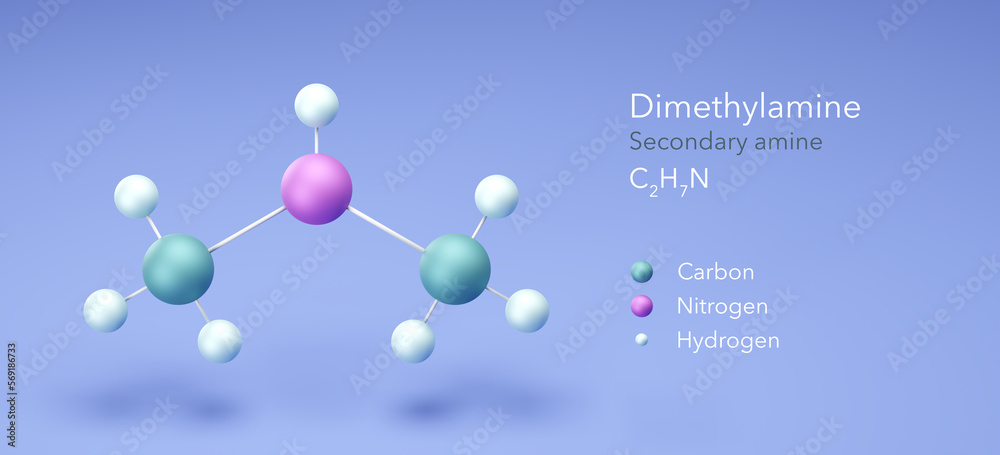 dimethylamine molecule, molecular structures, secondary amine, 3d model ...