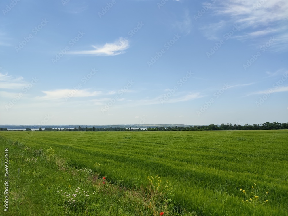 Beautiful desktop wallpaper Windows 11, Windows 12 Ukraine Stock Photo ...