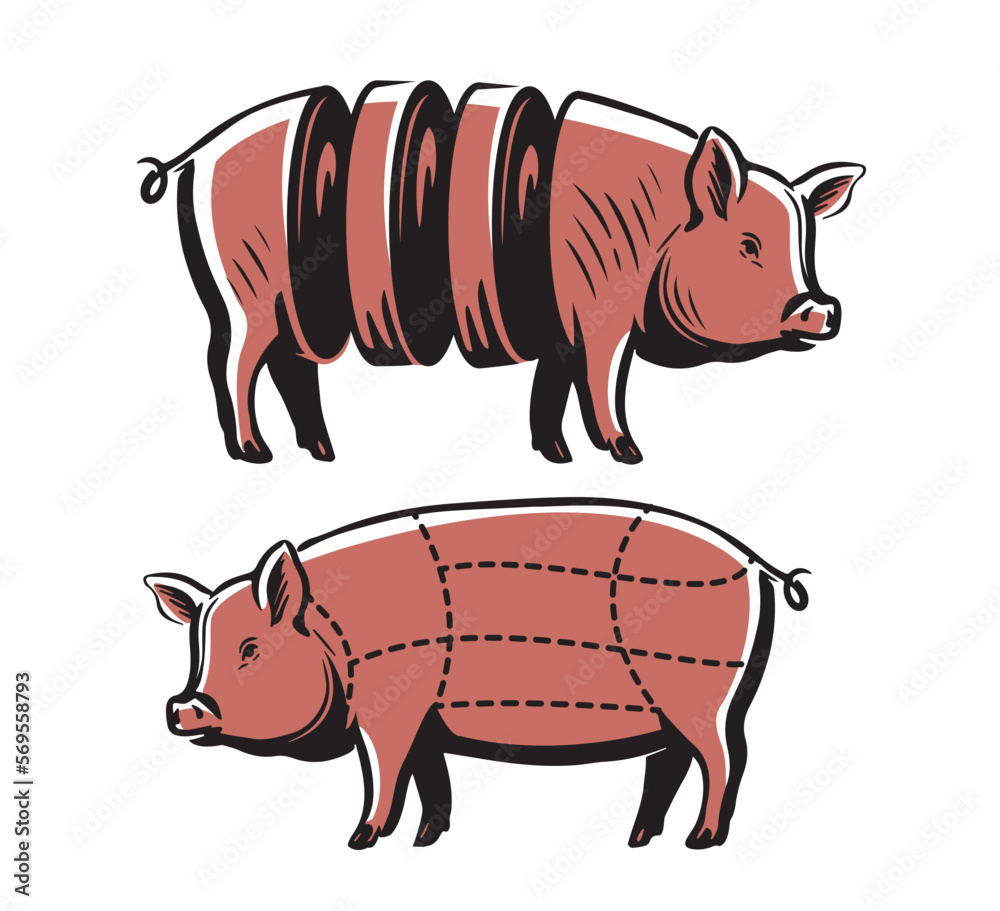 Pig, Pork meat diagram, scheme. Butchery symbol with pork meat cuts ...