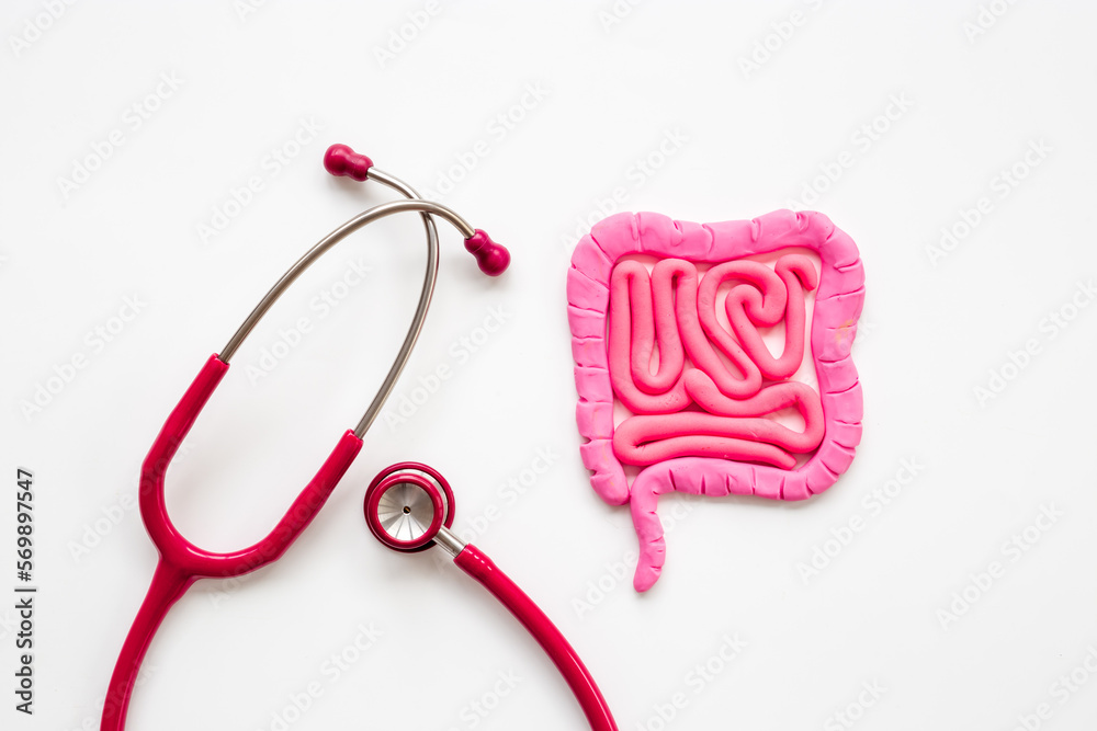 Stomach or intestines colon organ problems. Bowel disease concept ...