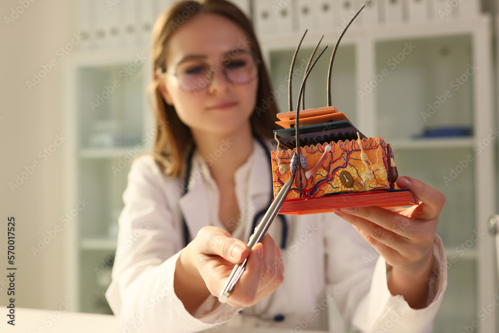 Young female dermatologist holds pen and anatomical model of human skin ...