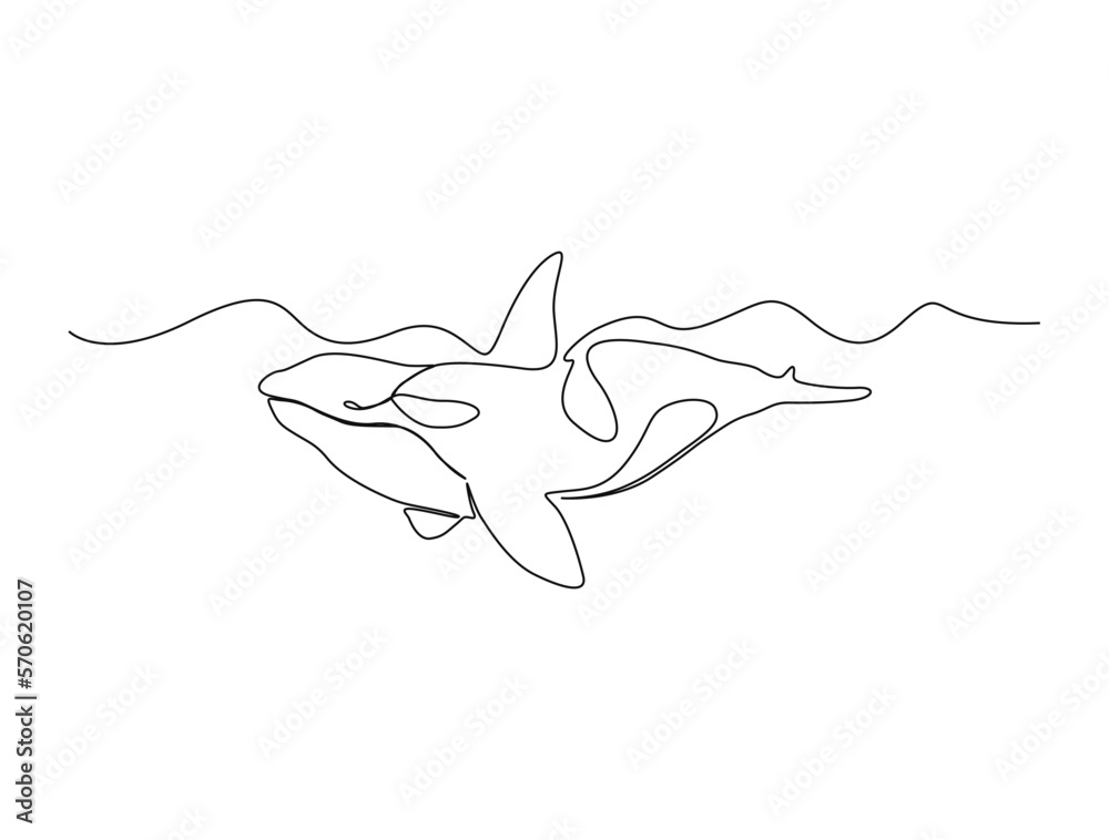 Continuous one line drawing of killer whale. Simple illustration of ...