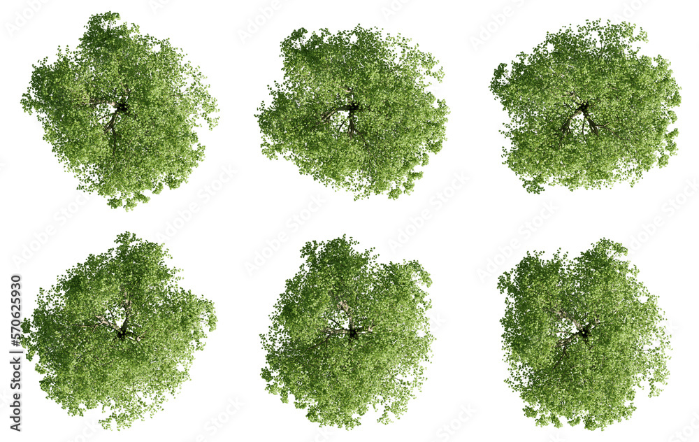 set of trees rendered from the top view, 3D illustration, for digital ...