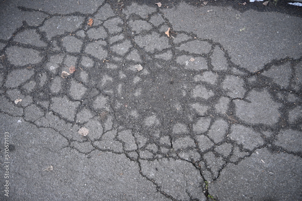 fissure on gray asphalt, gray asphalt erosion, soil split from tree ...