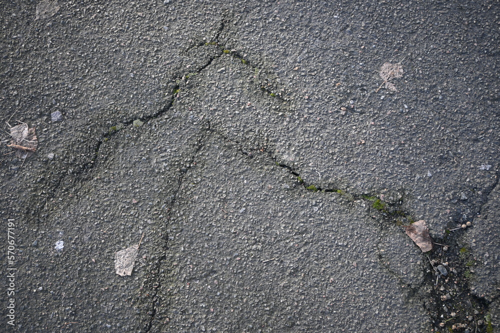 fissure on gray asphalt, gray asphalt erosion, soil split from tree ...