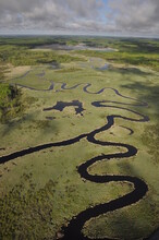 Wetland Stream Free Stock Photo - Public Domain Pictures