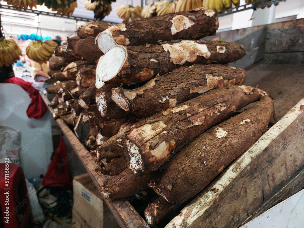 Foto de Stock Cassava, also called manioc, ketela, yuca, balinghoy ...