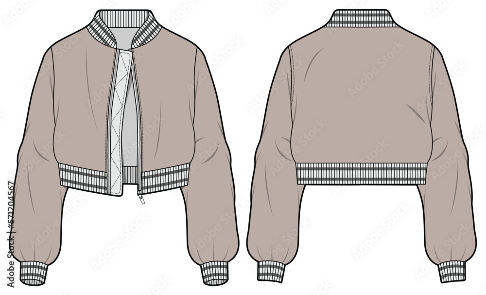 Varsity Jacket, Quilted Jacket, Bomber Jacket Front and Back View. Men ...