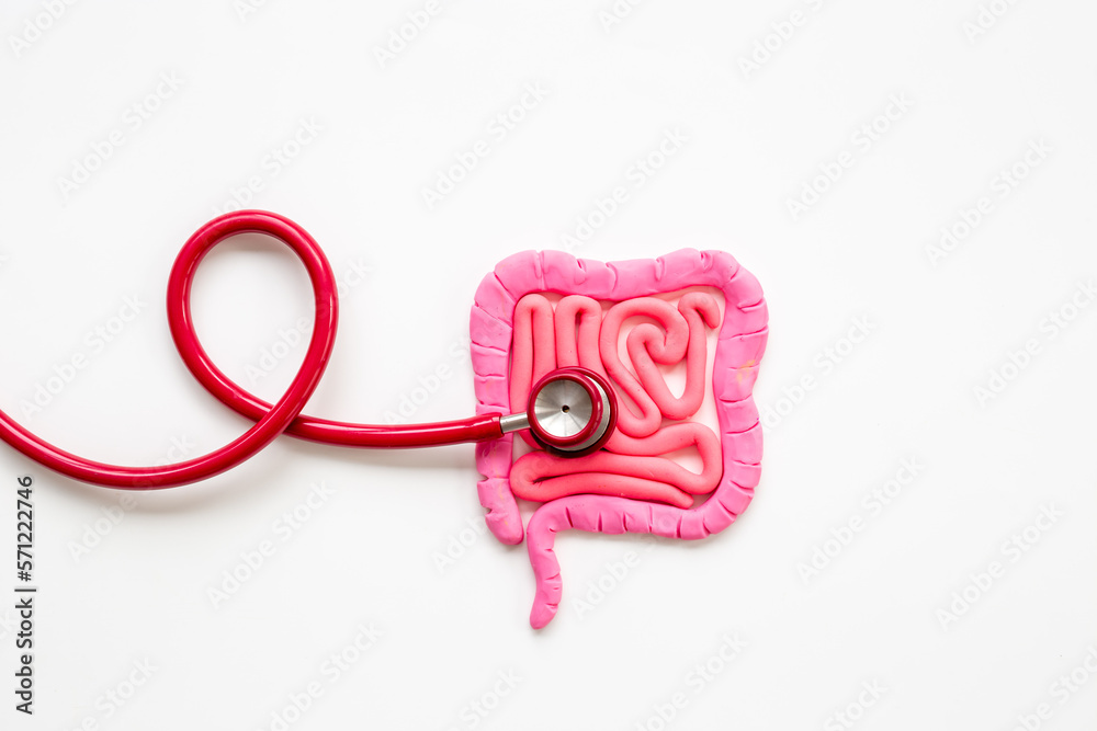 Colon bowel disease concept. Intestines organ shape made of plasticine ...